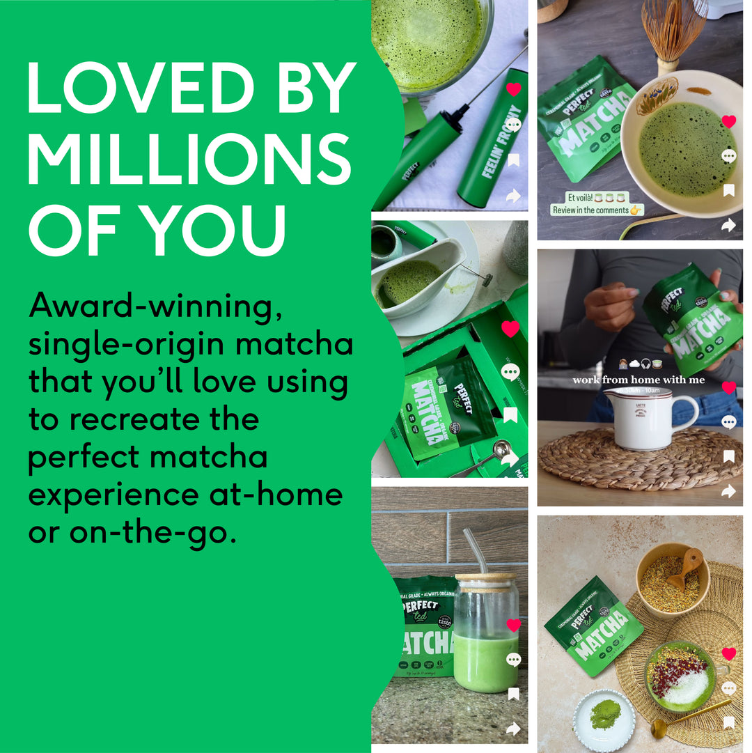 Matcha Powder 30g Pouch – PerfectTed