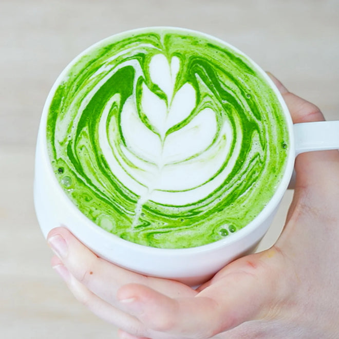 Quick Shop – PerfectTed