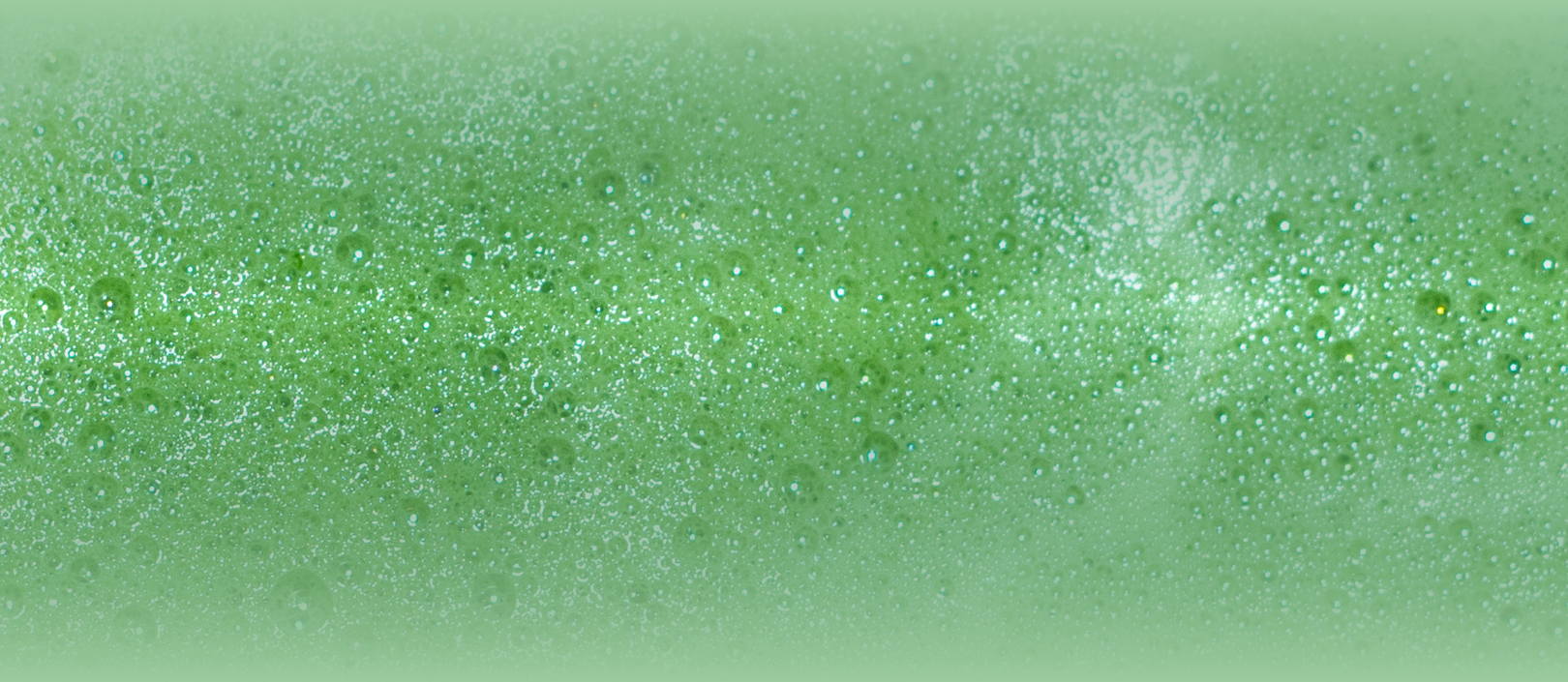 Matcha 101 – PerfectTed